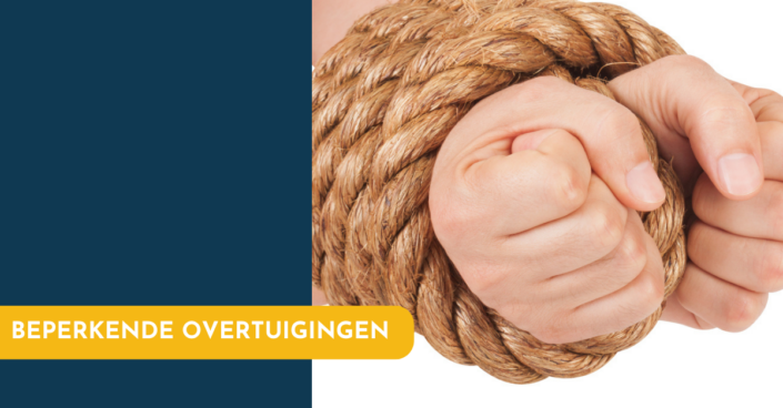 kernovertuiging Archieven - MEER WAARDE IN WERK