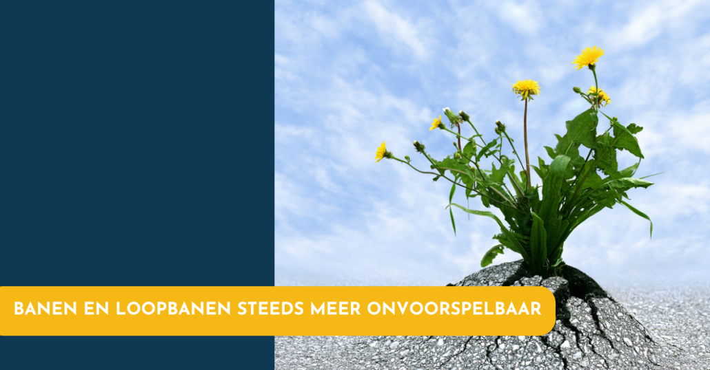 Succesvol zijn in je loopbaan; wat daarvoor nodig is